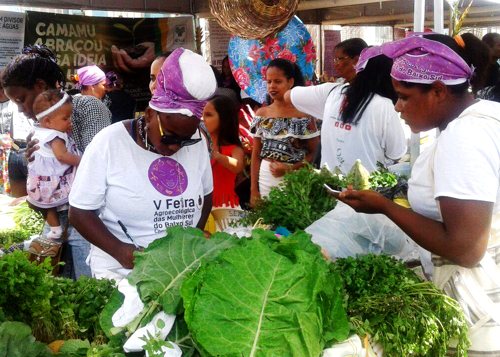 Feira Agroecológica debate violência contra a mulher - FASE
