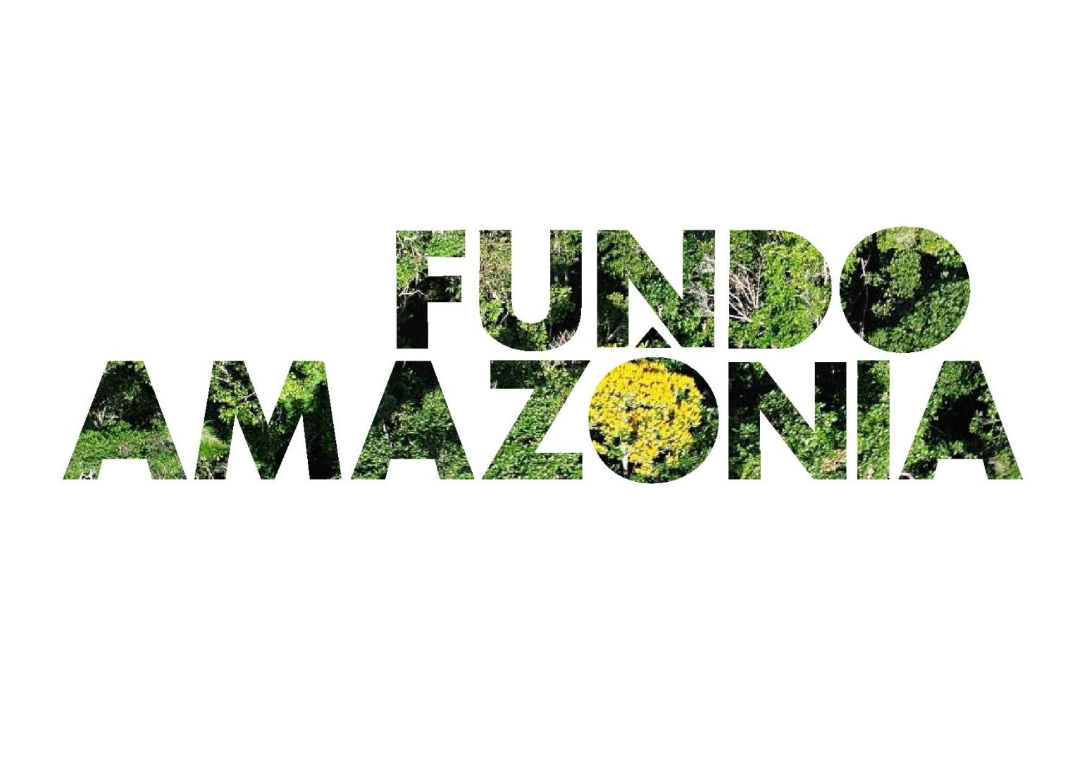 Amazônia Agroecológica - FASE